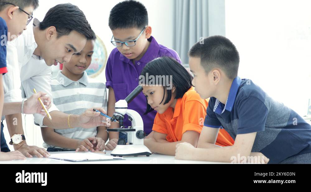 Asian student and teacher class Stock Videos & Footage - HD and 4K ...