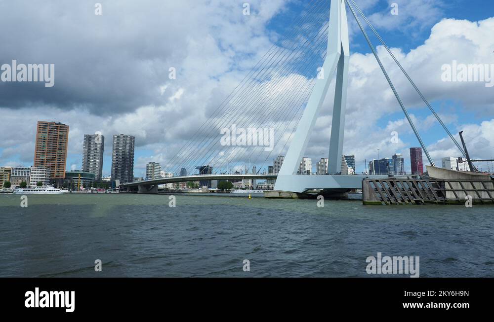 Erasmus bridge rotterdam south holland Stock Videos & Footage - HD and ...