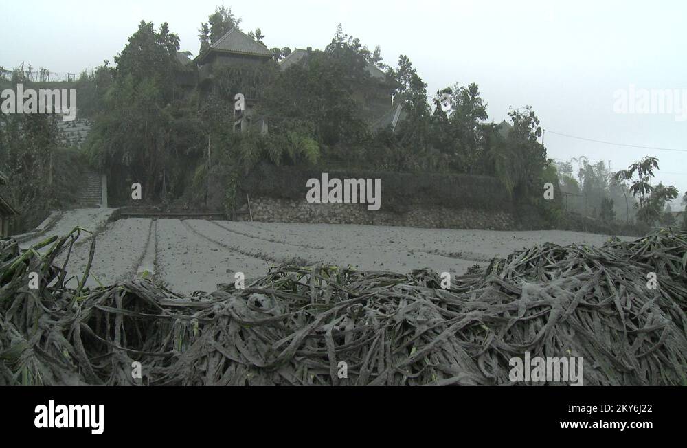 Volcanic Ash Fallout During Merapi Eruption Crisis Indonesia Stock ...
