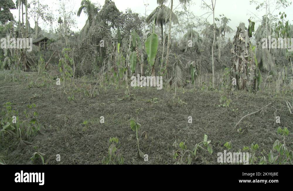 Volcanic ash farm Stock Videos & Footage - HD and 4K Video Clips - Alamy