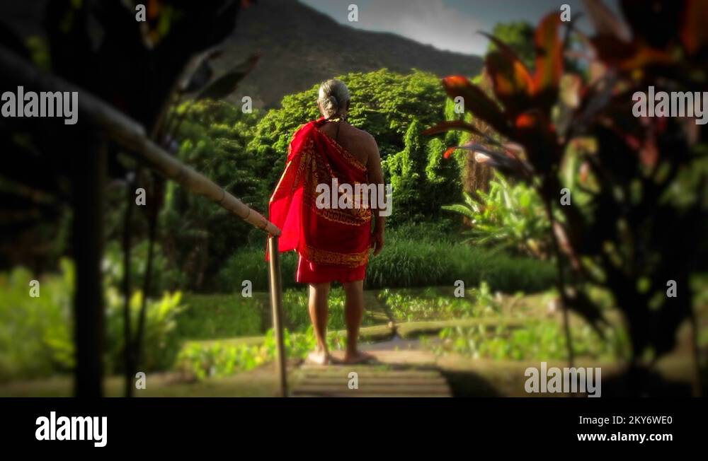 Native hawaiian male Stock Videos & Footage - HD and 4K Video Clips - Alamy