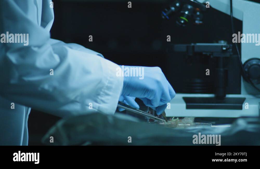Microscope forensics Stock Videos & Footage - HD and 4K Video Clips - Alamy