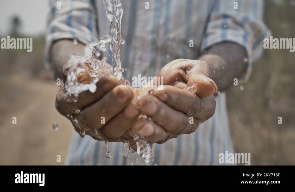 Poor mans drink Stock Videos & Footage - HD and 4K Video Clips - Alamy