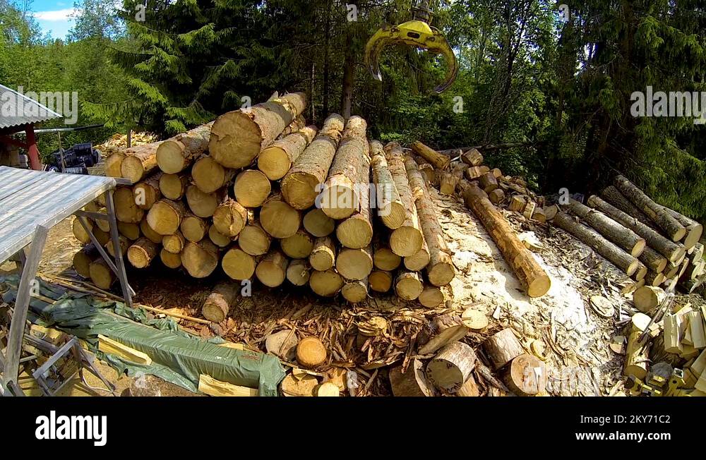 Back and fort Stock Videos & Footage - HD and 4K Video Clips - Alamy