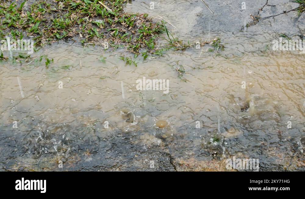 Raining splash Stock Videos & Footage - HD and 4K Video Clips - Alamy