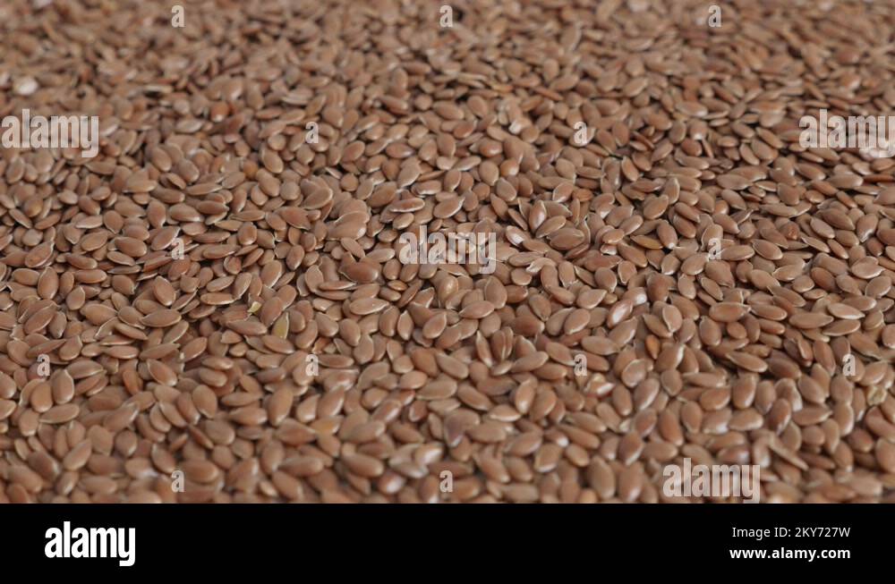 Linum usitatissimum seeds Stock Videos & Footage - HD and 4K Video ...