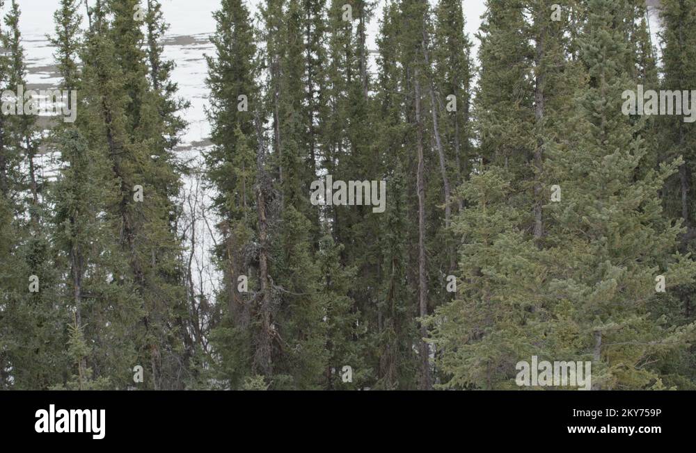 Range fir Stock Videos & Footage - HD and 4K Video Clips - Alamy