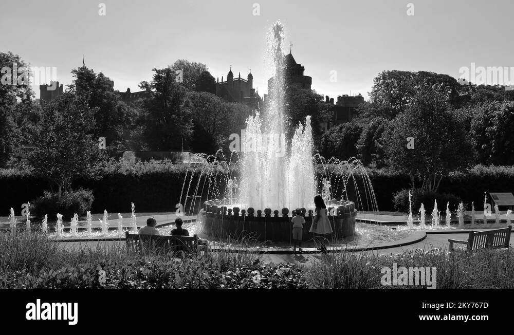 windsor-family-tree-stock-videos-footage-hd-and-4k-video-clips-alamy