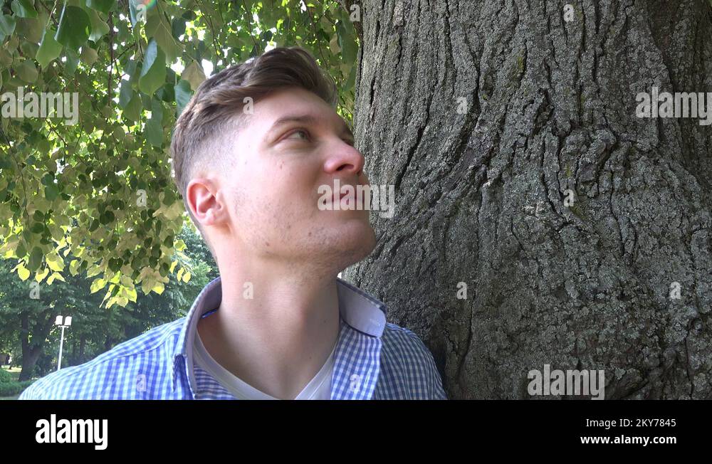 Casual chill young male leaning by tree looking up dreaming in the park ...