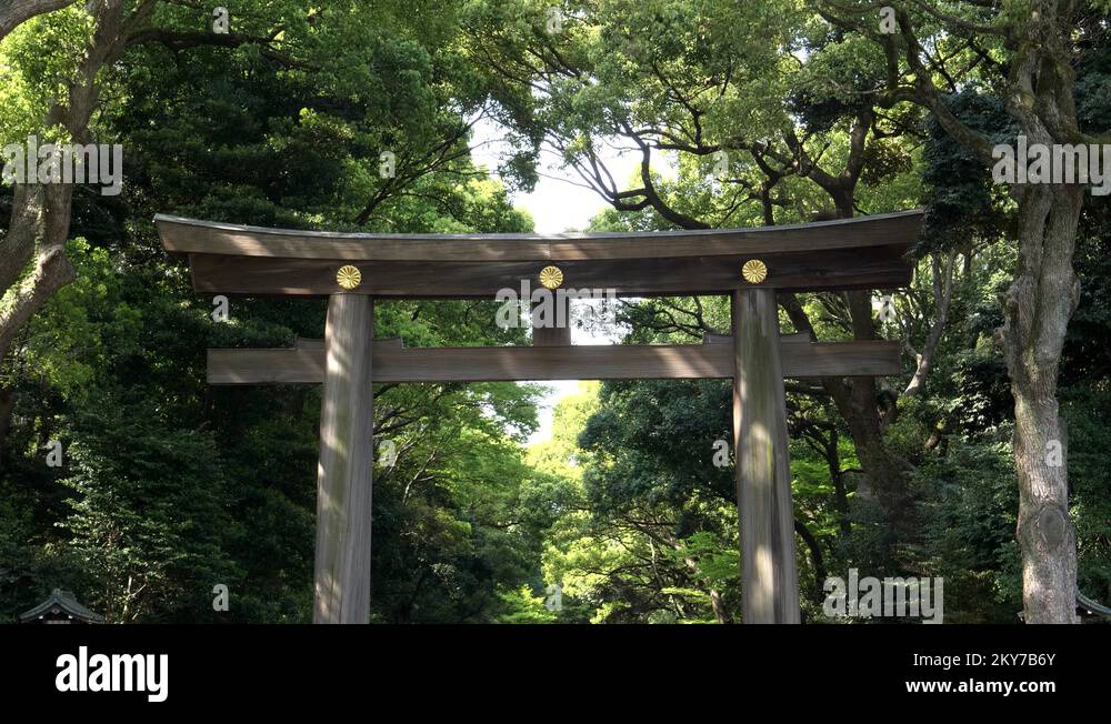 Torii entrance gate tree in Stock Videos & Footage - HD and 4K Video ...