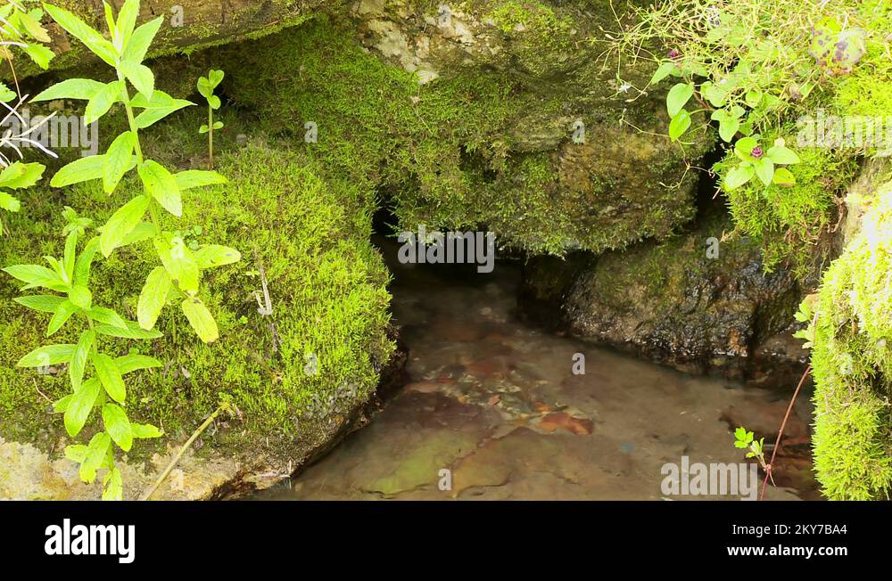 Groundwater spring mountain Stock Videos & Footage - HD and 4K Video ...