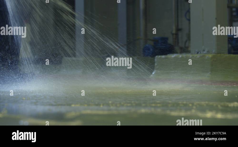 Employee cleaner Stock Videos & Footage - HD and 4K Video Clips - Alamy