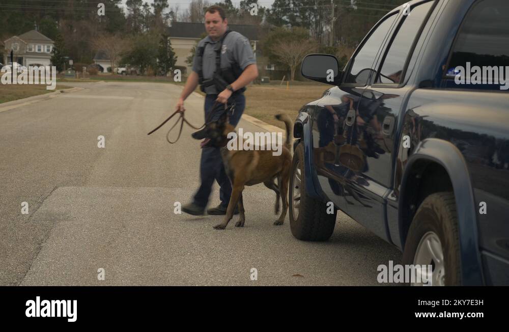 K9 police officer dog Stock Videos & Footage - HD and 4K Video Clips ...