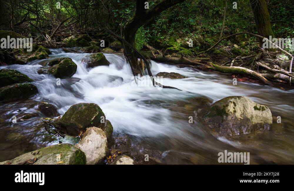 Bosque river Stock Videos & Footage - HD and 4K Video Clips - Alamy