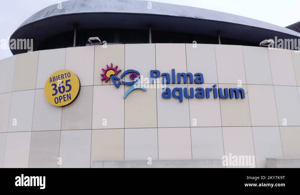Majorca palma aquarium Stock Videos & Footage - HD and 4K Video Clips ...