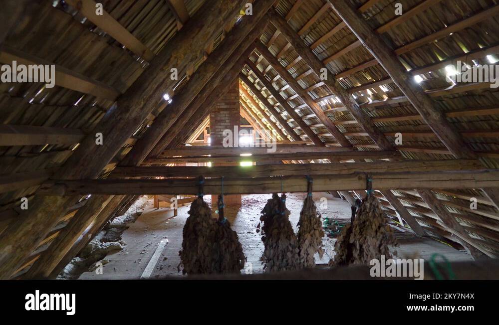 Inside attic old house Stock Videos & Footage - HD and 4K Video Clips ...