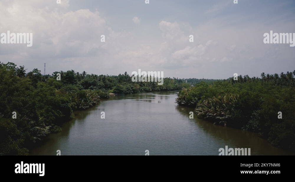 Jungle river tropical forest Stock Videos & Footage - HD and 4K Video ...
