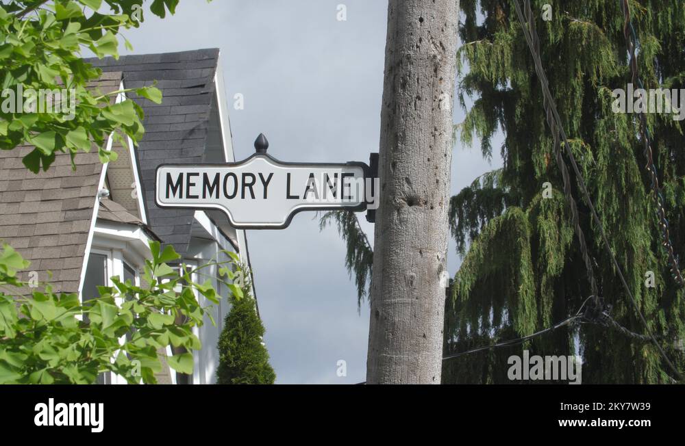 Remembering in memory Stock Videos & Footage - HD and 4K Video Clips ...