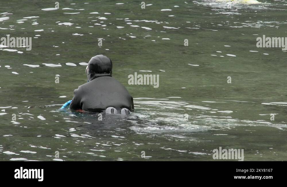 Traditional Women-Divers at Jeju Island, also Called as Haenyeo ...