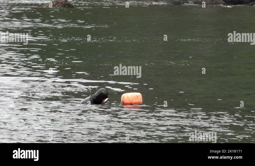 Traditional Women-Divers at Jeju Island, also Called as Haenyeo ...