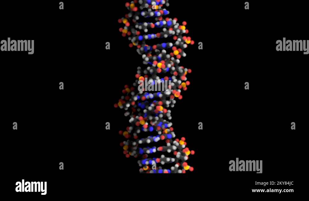 Medicalvisualization Stock Videos & Footage - HD and 4K Video Clips - Alamy