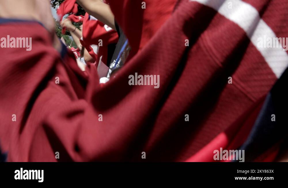 Stanley cup parade Stock Videos & Footage - HD and 4K Video Clips - Alamy