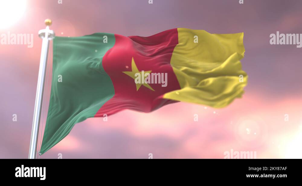Cameroonian flag waving Stock Videos & Footage - HD and 4K Video Clips ...