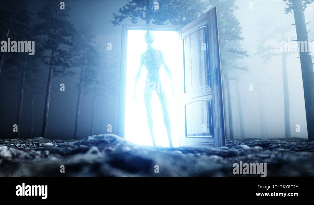 Alien in fog night forest. Light portal door. UFO concept. Realistic 4K ...