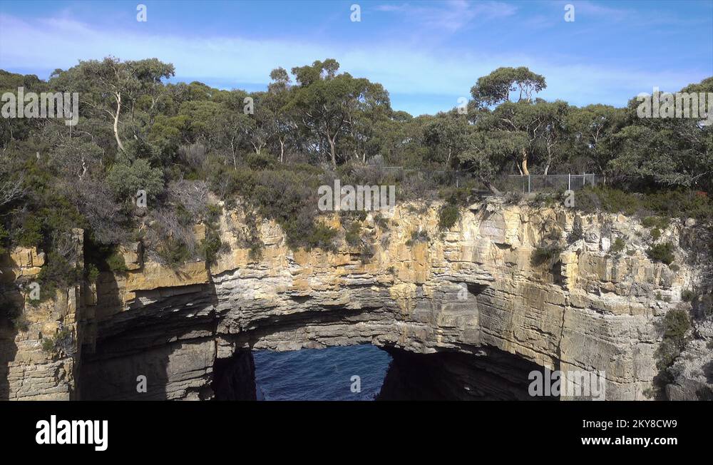 Tasmanarch Stock Videos & Footage - HD and 4K Video Clips - Alamy