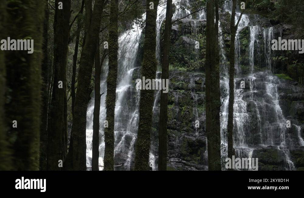 Wild rivers water park Stock Videos & Footage - HD and 4K Video Clips ...