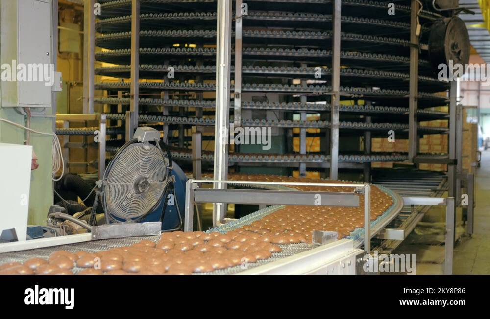 Cakes on automatic conveyor belt or line, process of baking in ...