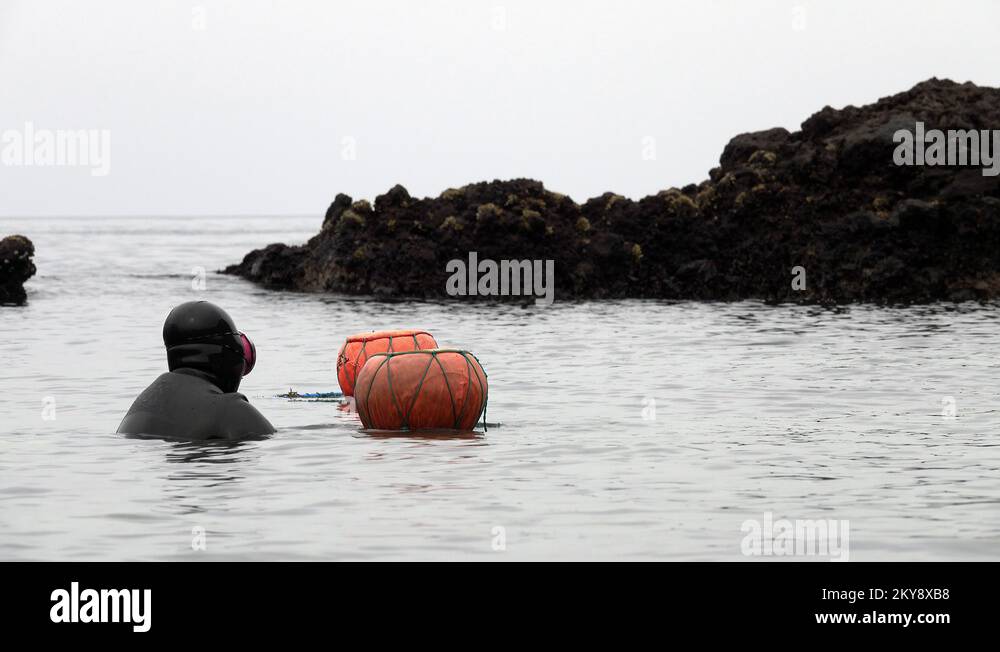 Traditional women divers Stock Videos & Footage - HD and 4K Video Clips ...