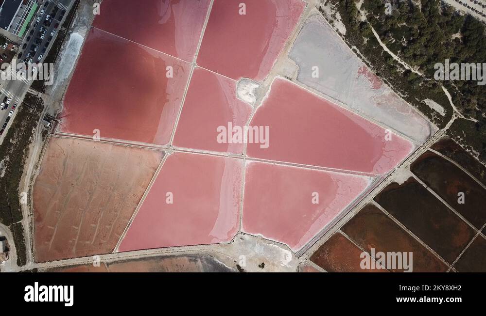 Earth's line. Vertical perspective of the ground's colors and shapes ...