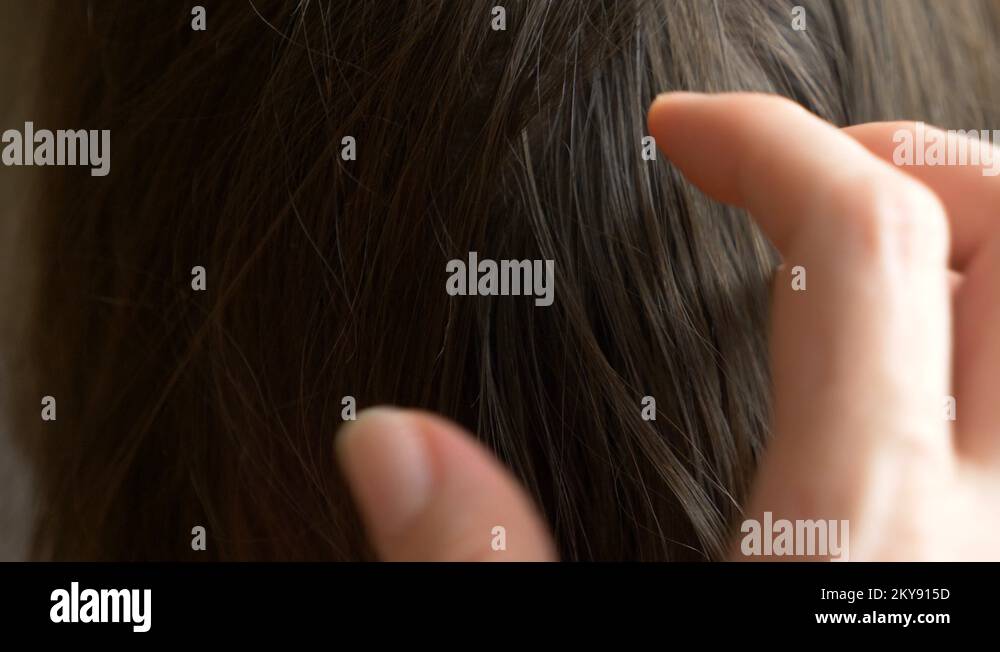 Close-up. 4k, slow motion. female hands, finding lice on heads with ...