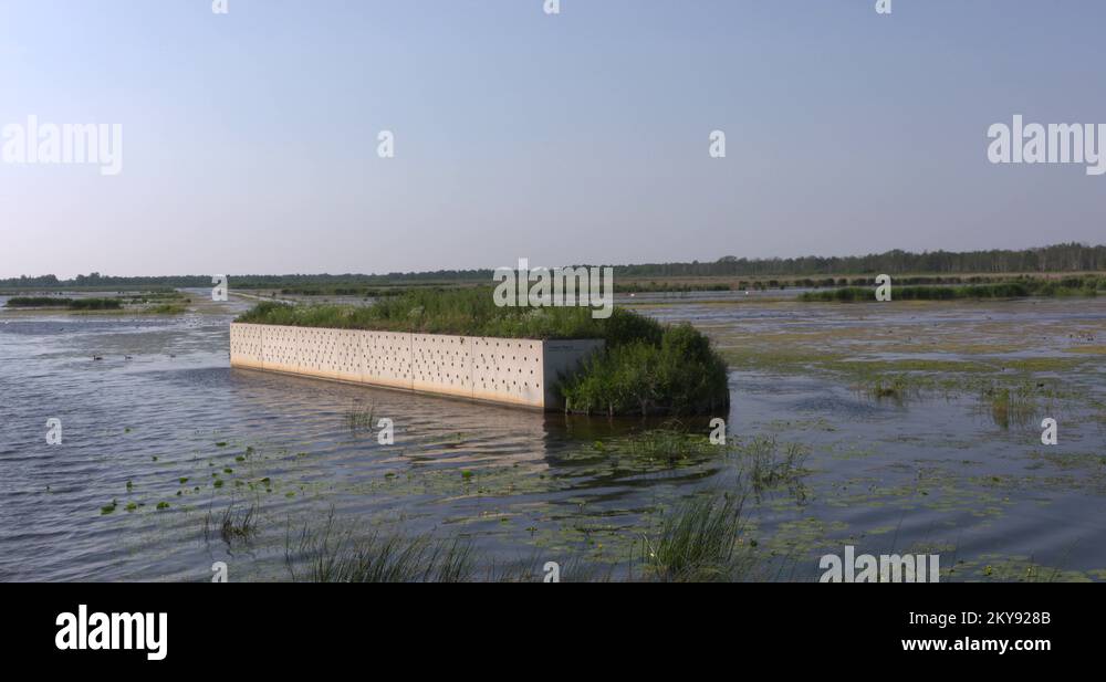 Raised bank Stock Videos & Footage - HD and 4K Video Clips - Alamy