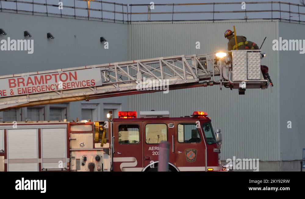 Medium ladder Stock Videos & Footage - HD and 4K Video Clips - Alamy