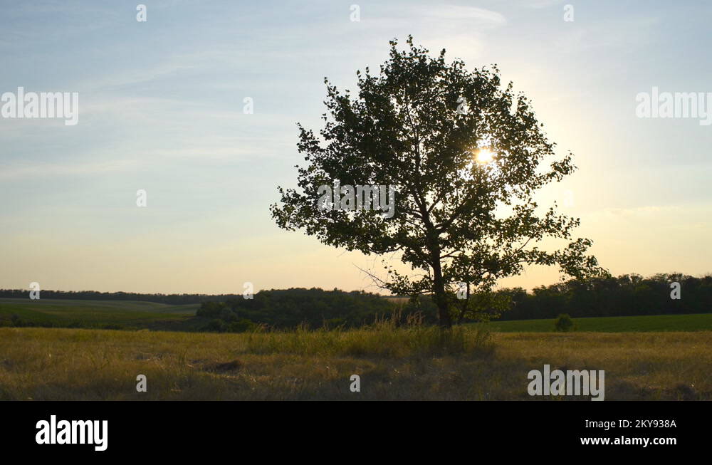 Summer heat sun sky landscape Stock Videos & Footage - HD and 4K Video ...