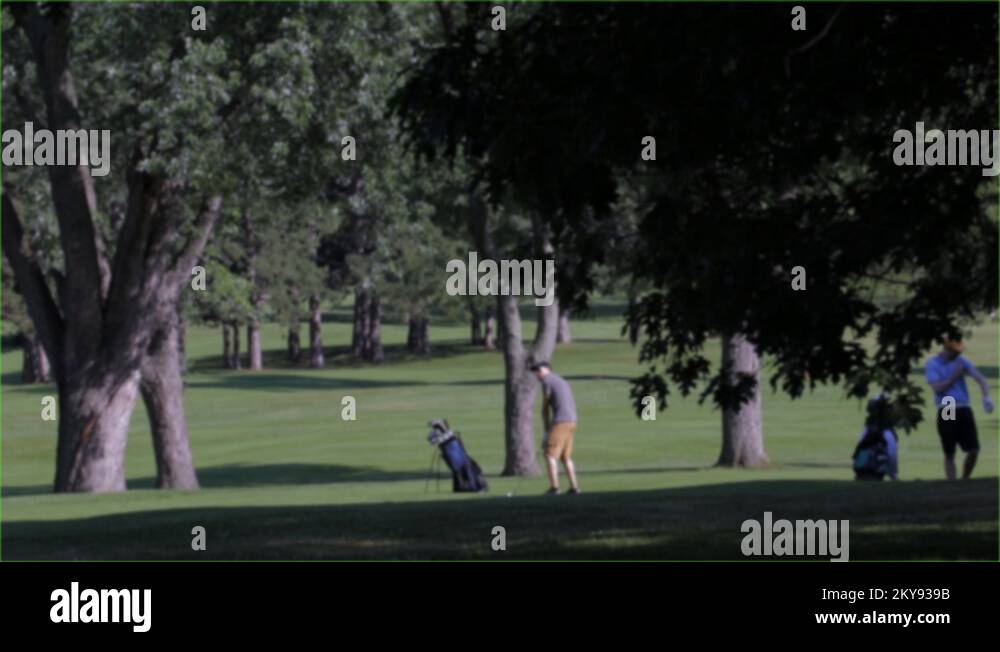 Golfers swinging clubs and teeing off at the local golf club. Playing ...