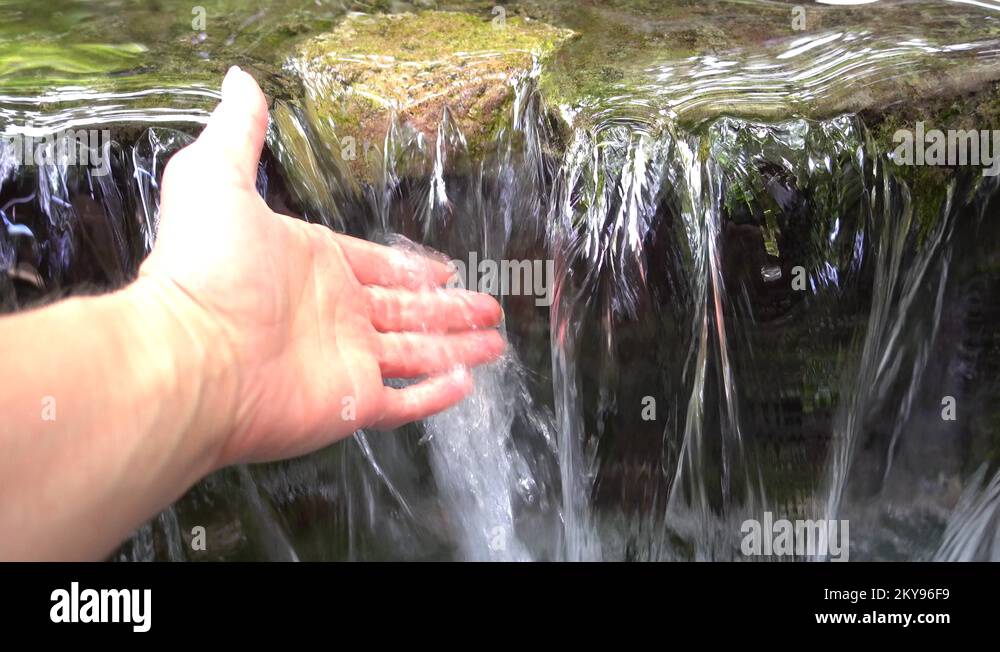 Flush of algae Stock Videos & Footage - HD and 4K Video Clips - Alamy
