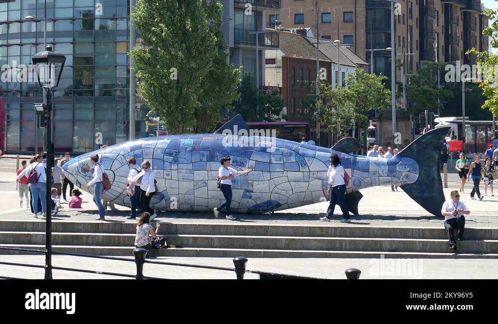 Salmon ireland fish Stock Videos & Footage - HD and 4K Video Clips - Alamy