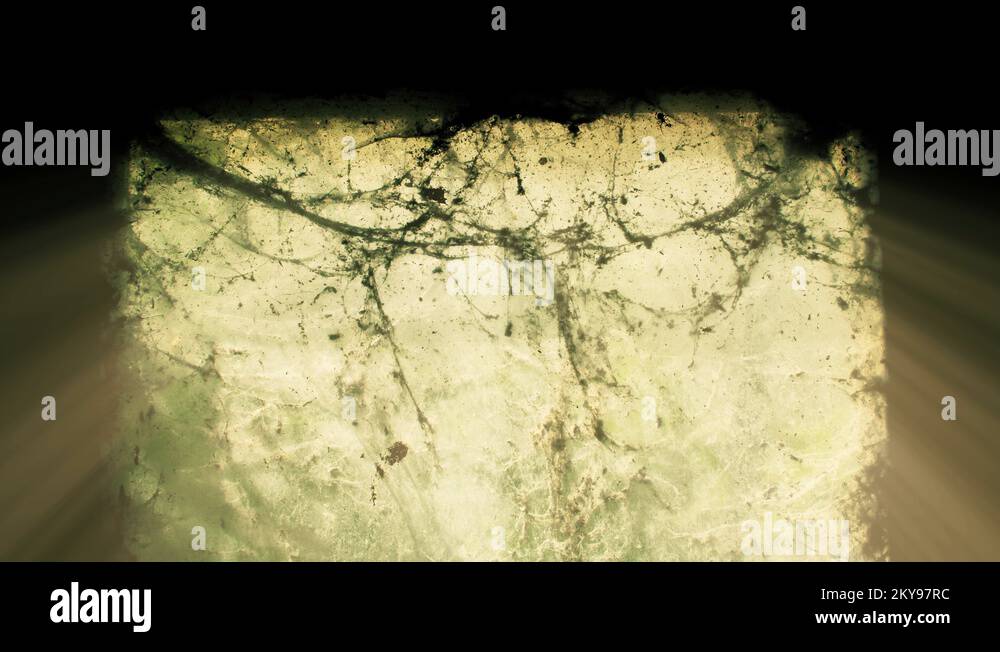 Concept of decay Stock Videos & Footage - HD and 4K Video Clips - Alamy