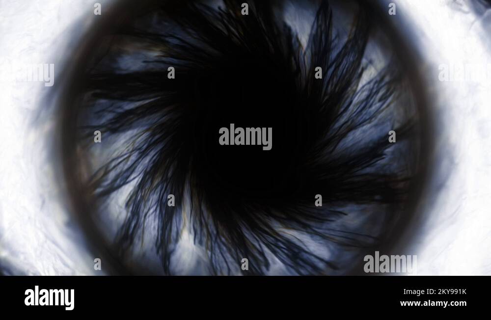 Scary ball Stock Videos & Footage - HD and 4K Video Clips - Alamy