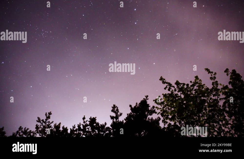Stars and sky and night and trees Stock Videos & Footage - HD and 4K ...