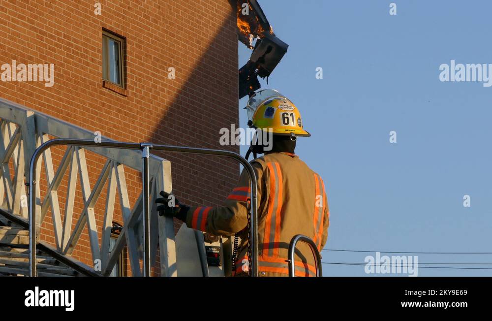 Ladder operations Stock Videos & Footage - HD and 4K Video Clips - Alamy