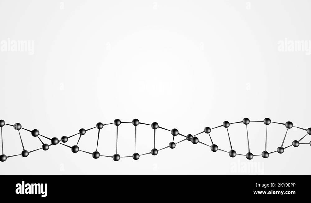 Black DNA rotating on silver background. Seamless loop animation ...