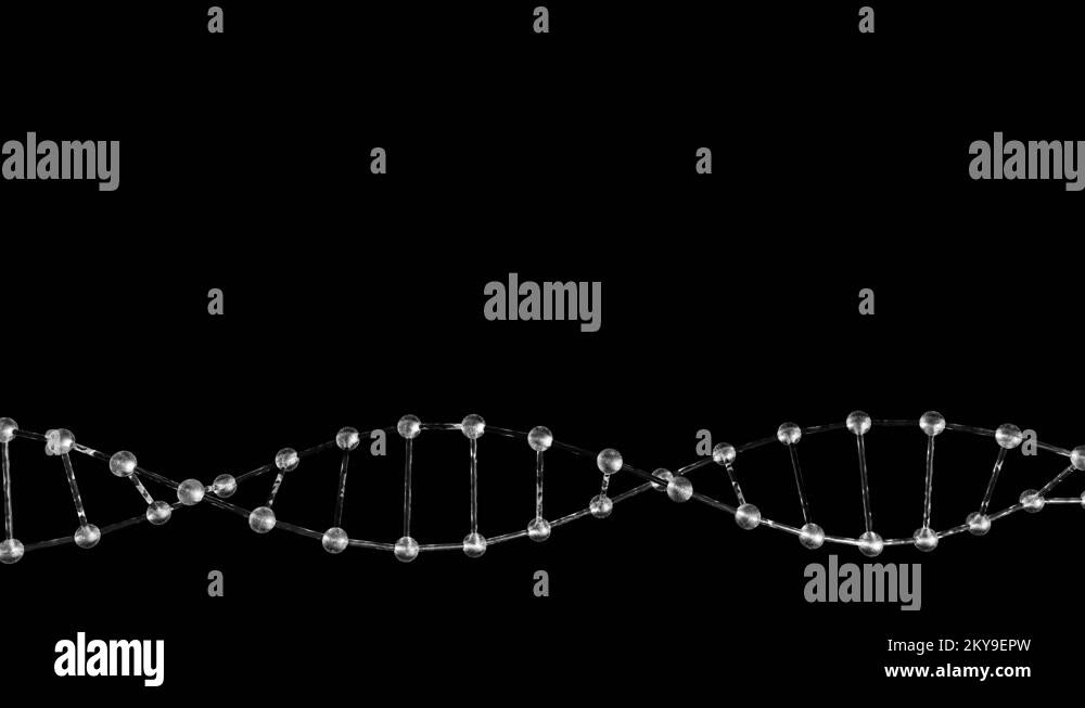 Glass crystal DNA rotating on black and green screen background. Loop ...