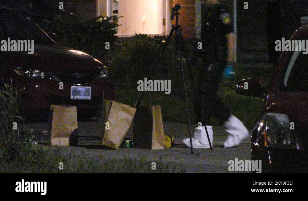 Forensic officers processing crime scene - 24fps 1080p Stock Video ...