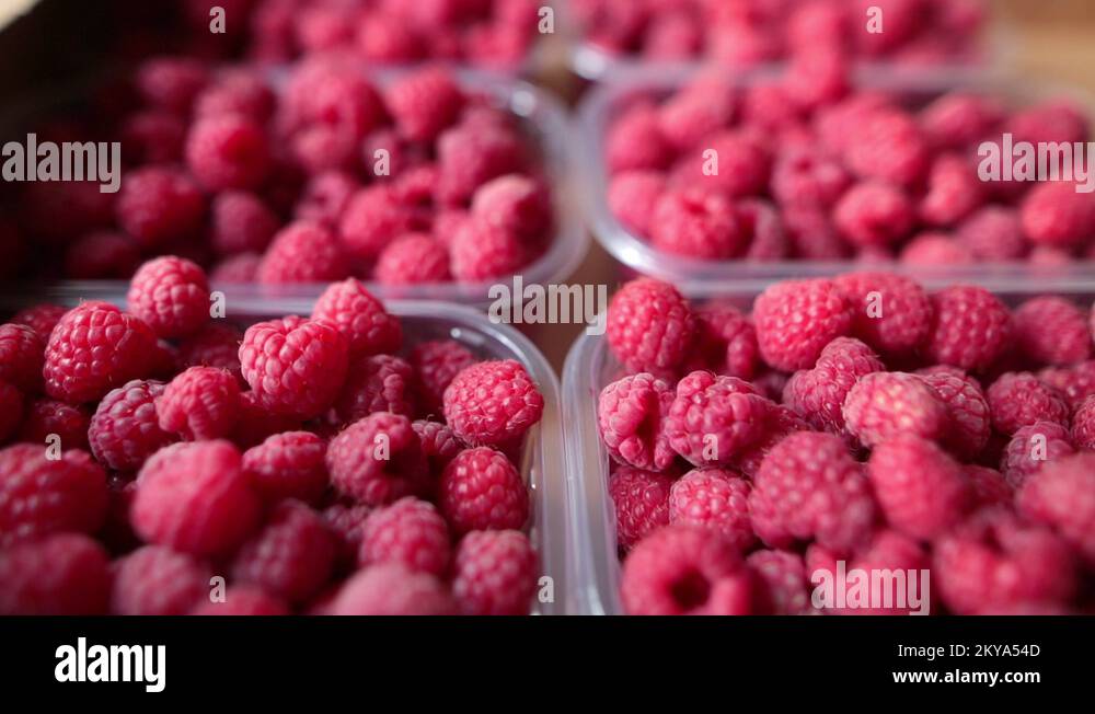 Beautiful raspberries Stock Videos & Footage - HD and 4K Video Clips ...