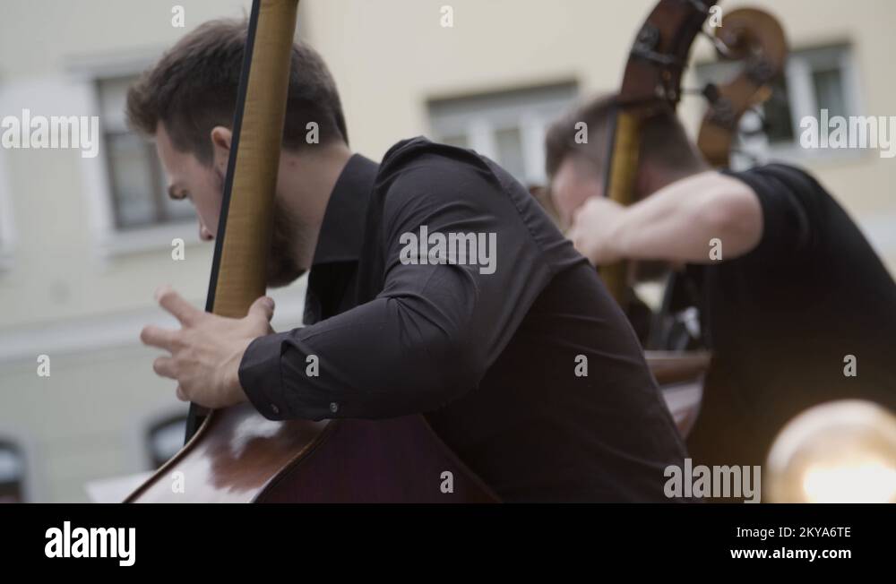 Contrabass double bass Stock Videos & Footage - HD and 4K Video Clips ...