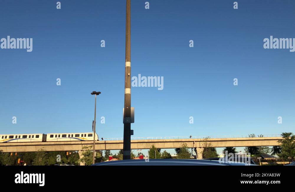 Evergreen line Stock Videos & Footage - HD and 4K Video Clips - Alamy